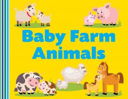 Baby Farm Animals