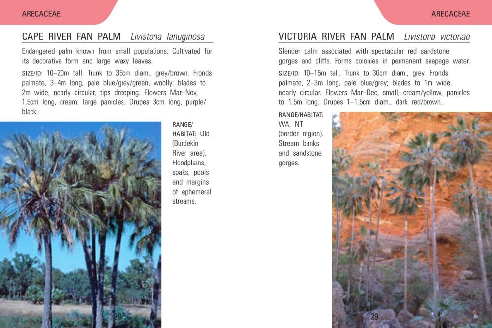 australian trees identification