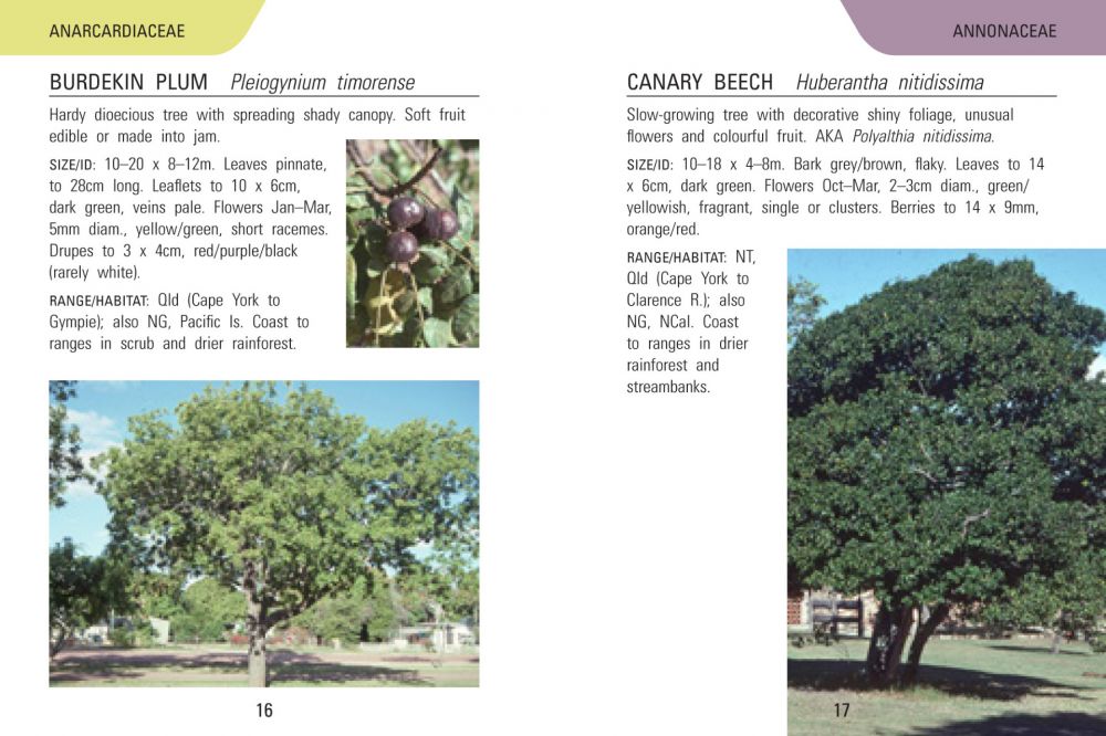 australian trees identification